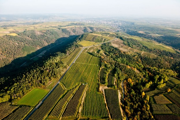 Kamptal in Österreich | Paasburg's - Wein aus Leidenschaft